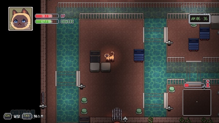 ‘길고양이 이야기2-아키타입 블루-커넥티드 클루’ CFK, BIC 2023 라인업 3종 공개!