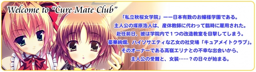 큐어 메이트 클럽 PS Vita로 발매 예정